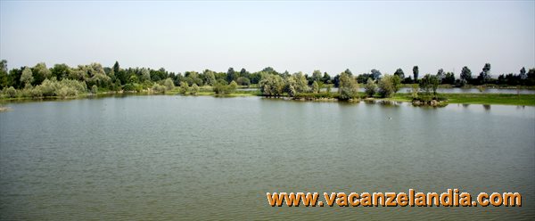 Vacanzelandia - Vacanzelandia