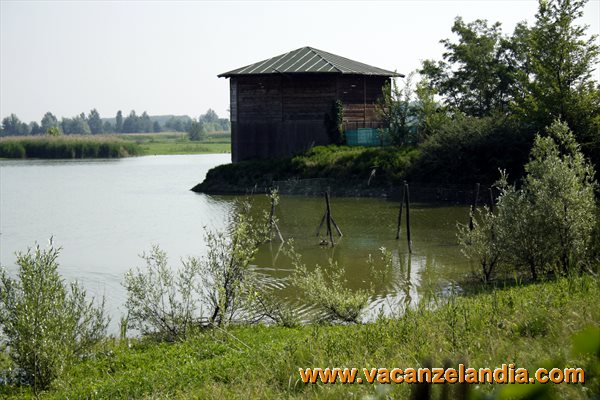 Vacanzelandia - Vacanzelandia