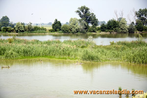 Vacanzelandia - Vacanzelandia