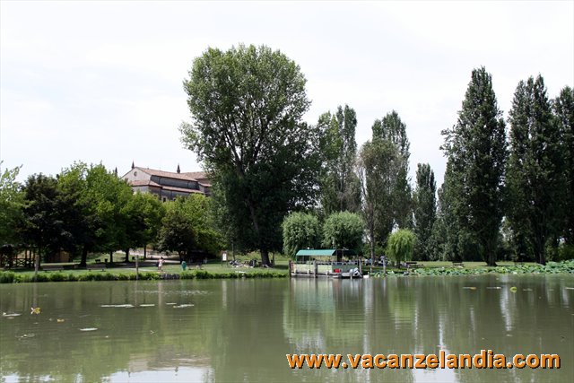 Vacanzelandia - In camper alla Riserva Naturale delle Valli del Mincio ...