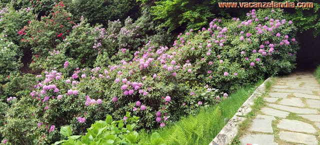 Vacanzelandia - Vacanzelandia