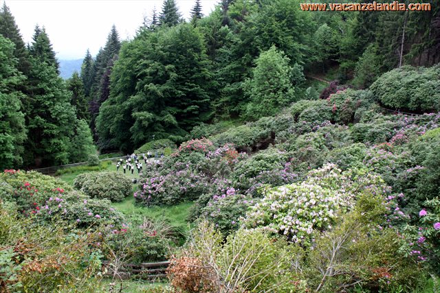 Vacanzelandia - Vacanzelandia