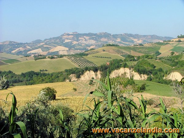 Vacanzelandia - Itinerari Diari di Viaggio Marche: Riviera delle Palme ...