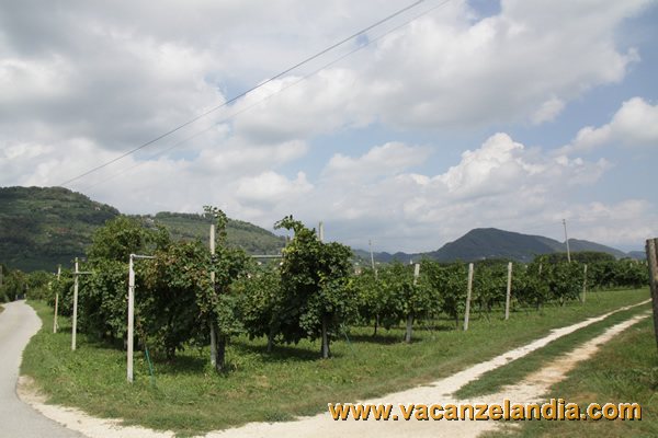 Vacanzelandia - Itinerari Diari di Viaggio Veneto: Falzè di Piave