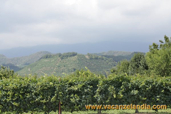 Vacanzelandia - Itinerari Diari di Viaggio Veneto: Falzè di Piave - 2o ...